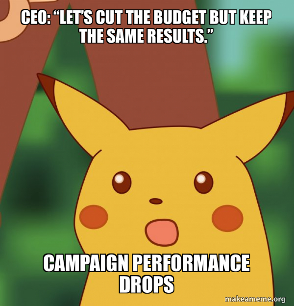 CEO: “Let’s cut the budget but keep the same results.” campaign ...