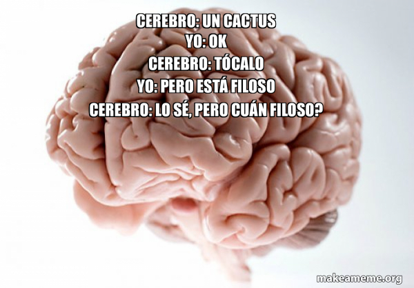 Cerebro: un CACTUS Yo: ok Cerebro: tócalo Yo: pero está filoso Cerebro: lo sé, pero cuán filoso ...