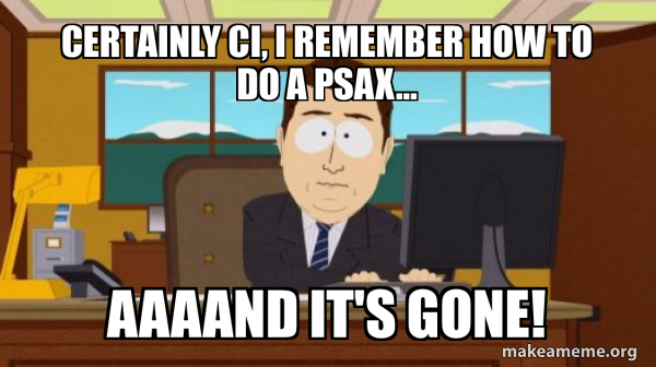 certainly ci, I remember how to do a psax... Aaaand it's gone! - aaaand ...