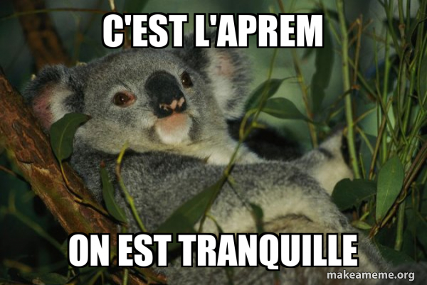 C'est l'aprem On est tranquille - Laid Back Koala Meme Generator