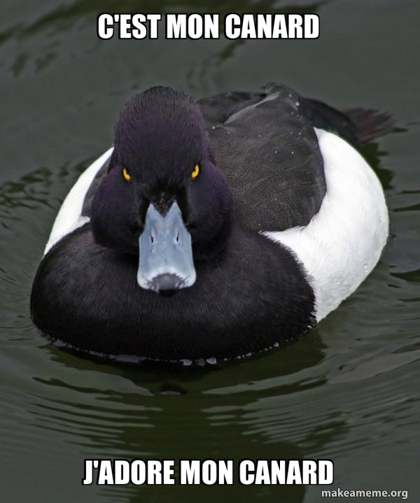 c'est mon canard j'adore mon canard - Revenge Duck ( Angry Advice Duck ...
