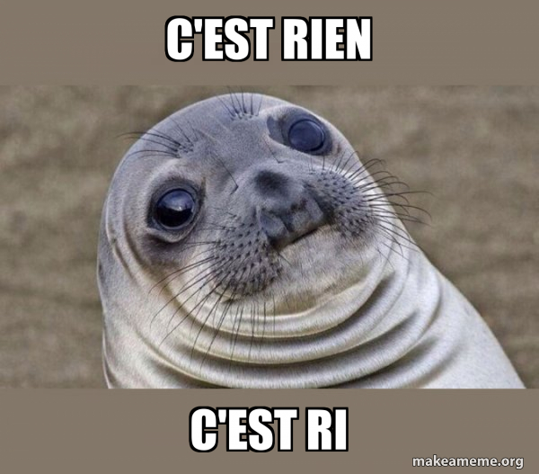 C'est rien c'est ri - Squeamish Seal Meme Generator