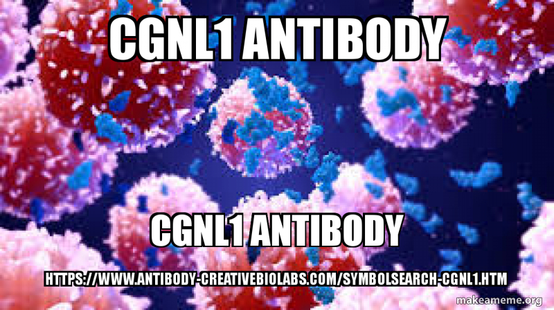 CGNL1 antibody CGNL1 antibody https://www.antibody-creativebiolabs.com/symbolsearch-cgnl1.htm ...