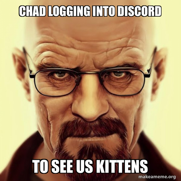 Chad logging into discord To see us Kittens - Walter White Breaking Bad ...