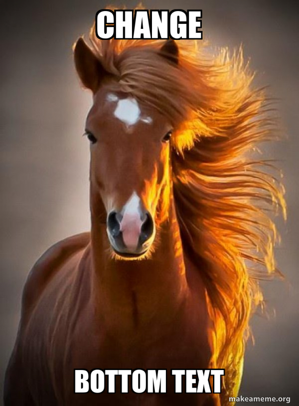 change bottom text - Ridiculously photogenic horse Meme Generator