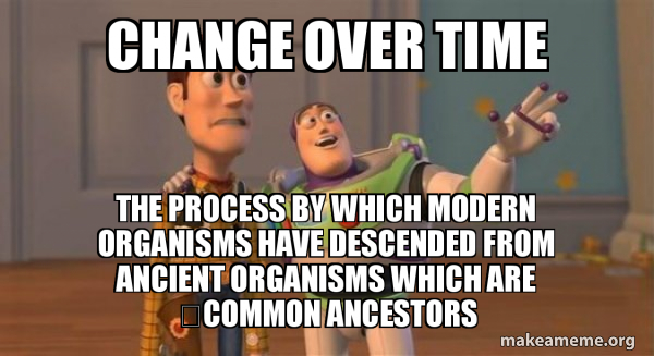 change over time the process by which modern organisms have descended ...