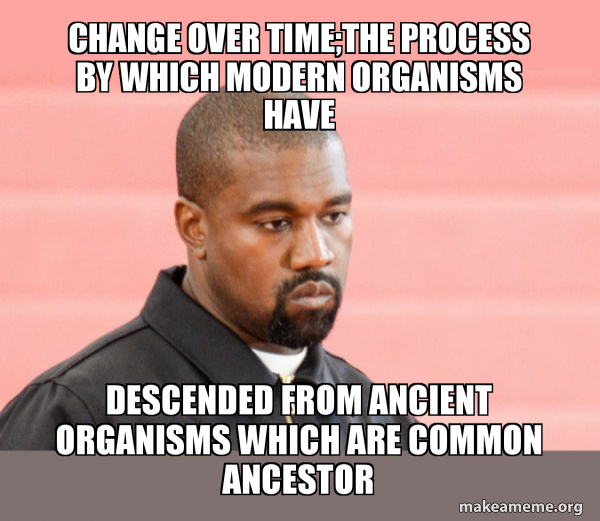 Ancestor Memes I'm The Strong Ancestor Funny Sarcastic Gift Idea