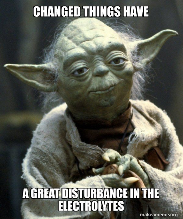 CHANGED THINGS HAVE A GREAT DISTURBANCE IN THE ELECTROLYTES - Yoda Meme ...