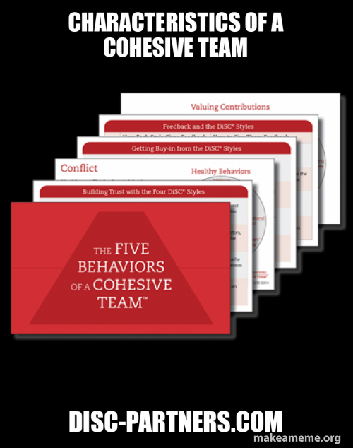 Characteristics of a cohesive team disc-partners.com Meme Generator