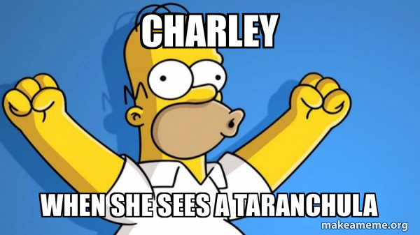 Charley When she sees a taranchula - Happy Homer Meme Generator