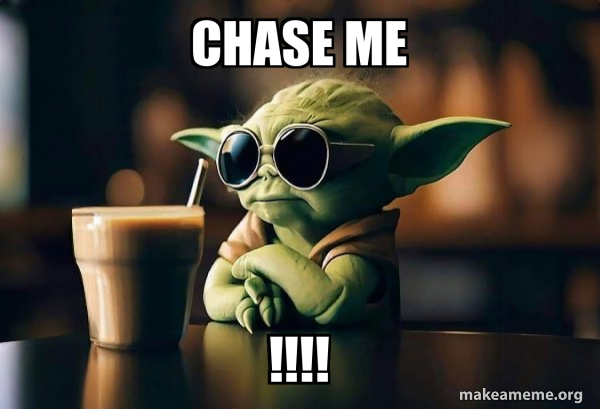 CHASE ME !!!! - Cool Yoda (Sunglasses) Meme Generator