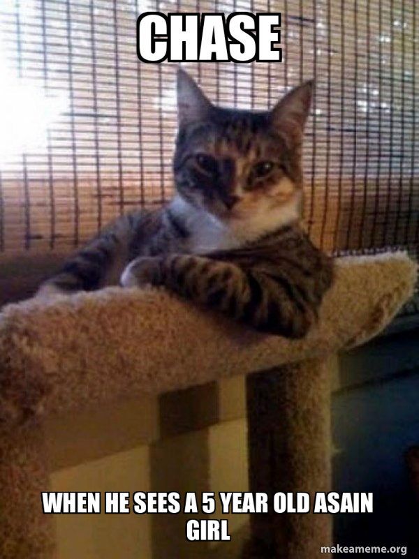Chase When he sees a 5 year old asain girl - The Most Interesting Cat ...
