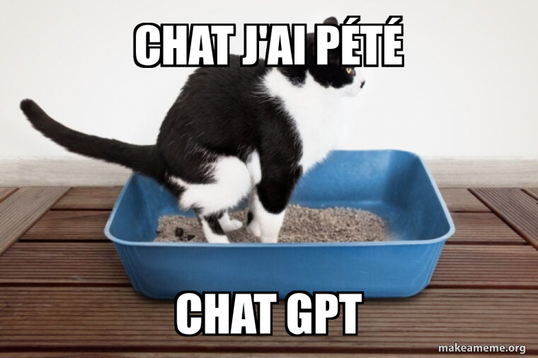 Din nou de-ale lui ChatGPT | VERONICISME