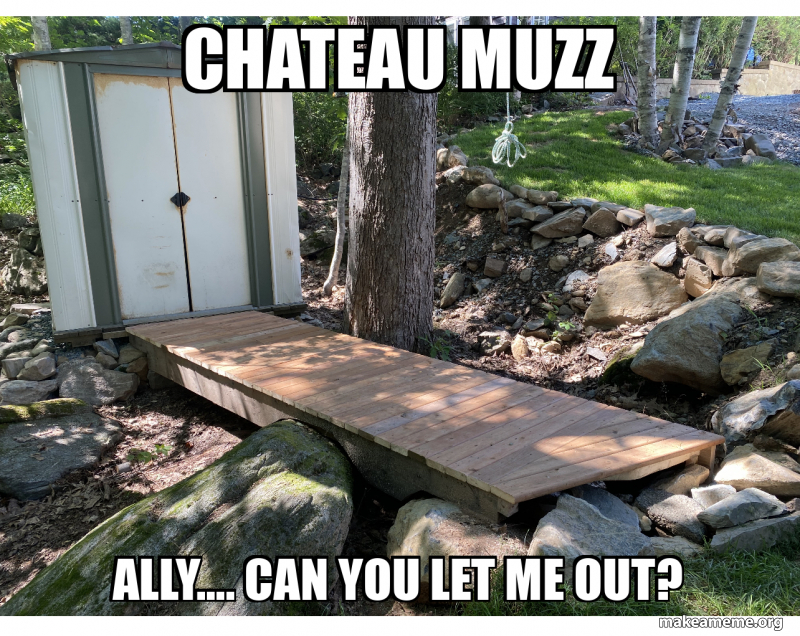 Chateau Muzz Ally…. Can you let me out? Meme Generator