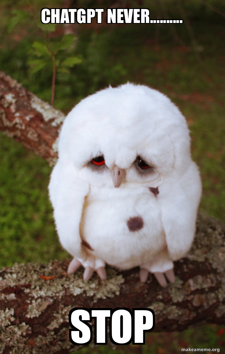 CHATGPT NEVER.......... STOP - Sad Owl Meme Generator