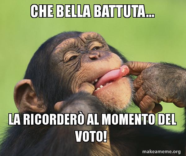 Che bella battuta... la ricorderÃ² al momento del voto! Meme Generator