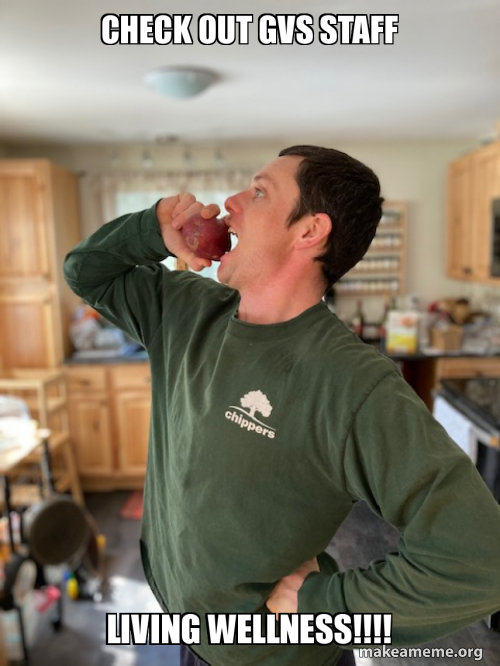 Check out GVS STaff LIVING WELLNESS!!!! Meme Generator