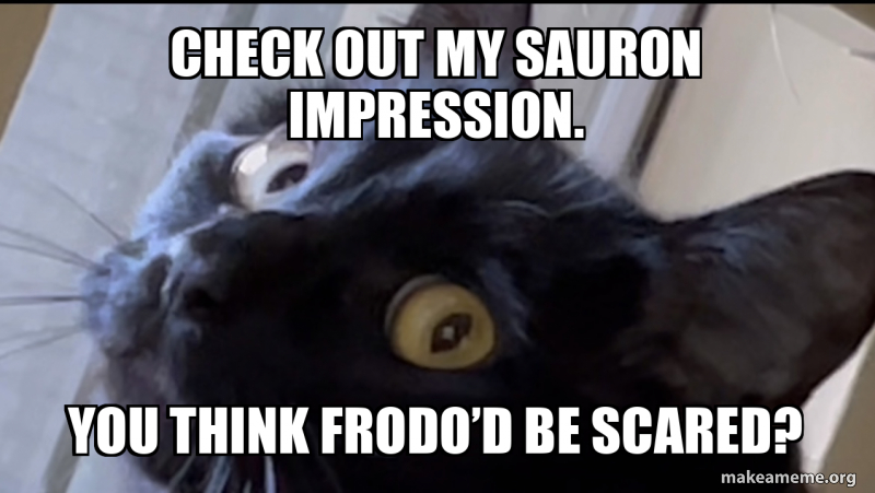 Check out my sauron impression. You think Frodo’d be scared? Meme Generator