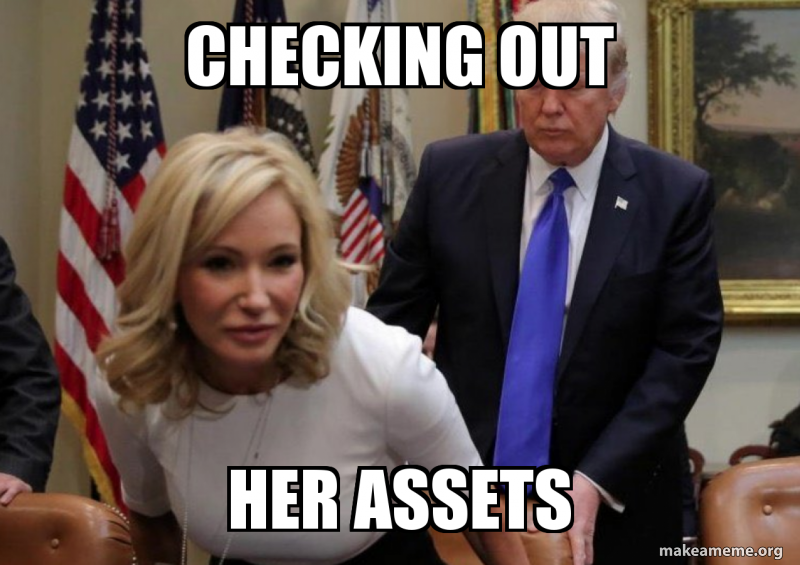 checking out her assets - assets Meme Generator