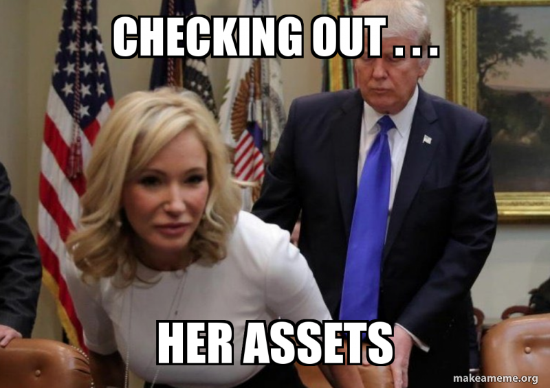 checking out . . . her assets - assets Meme Generator
