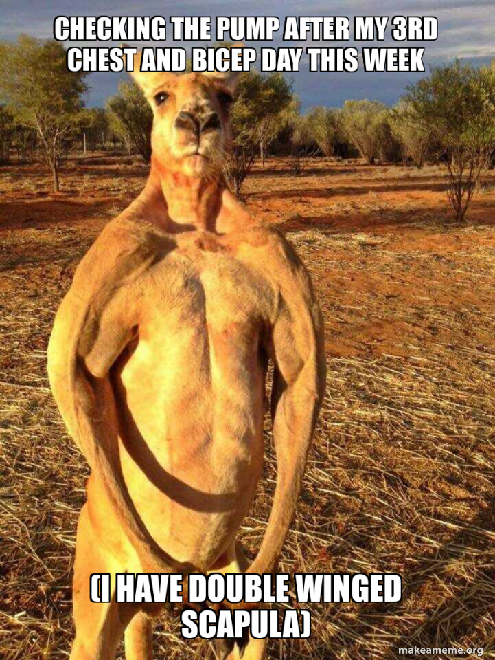 Checking the pump after my 3rd chest and bicep day this week (I have ...