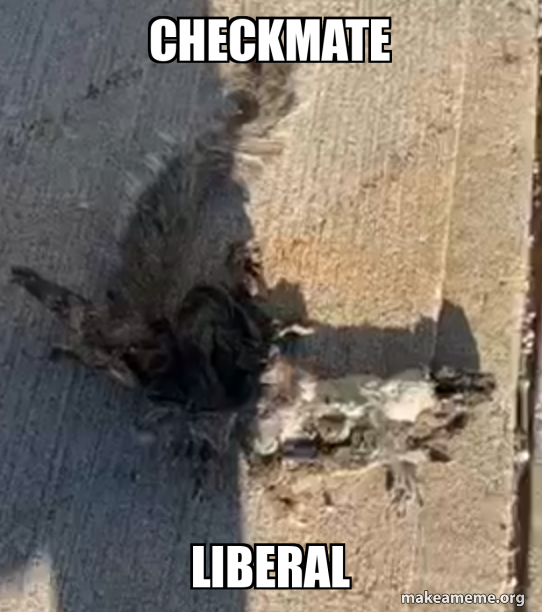 Checkmate Liberal Meme Generator