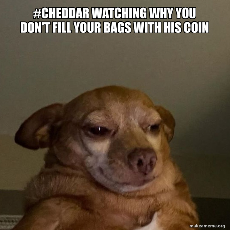 #cheddar watching why you don't fill your bags with his coin Meme Generator