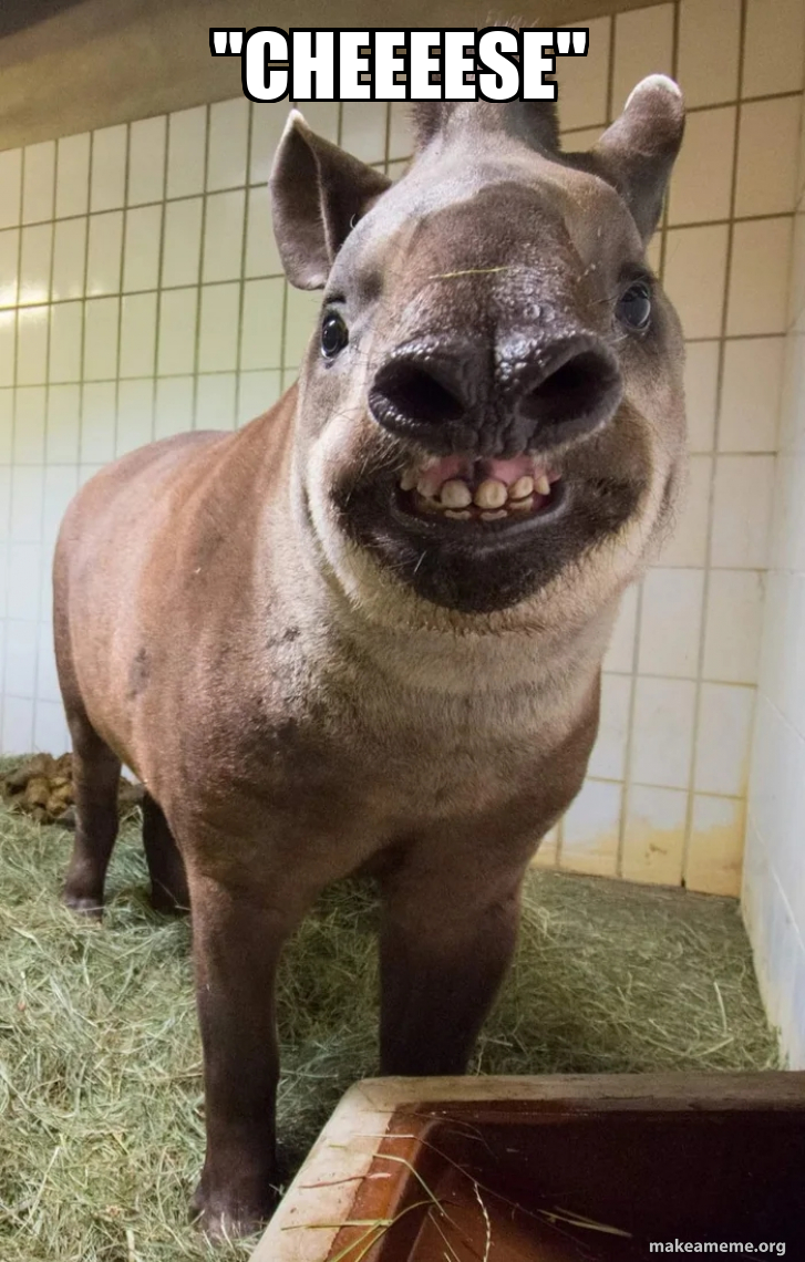 "Cheeeese" Meme Generator