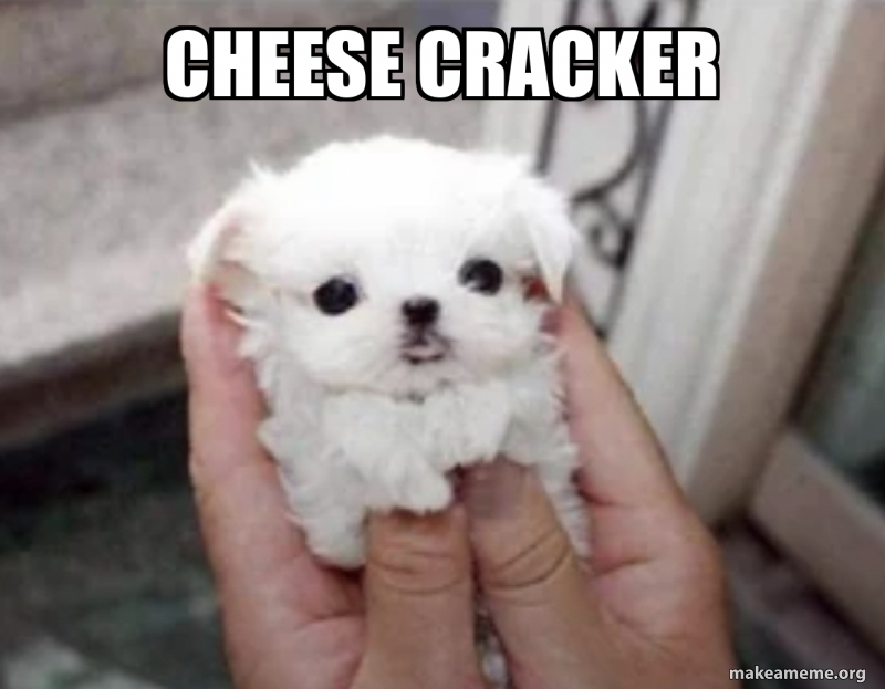 Cheese CRACKEr Meme Generator