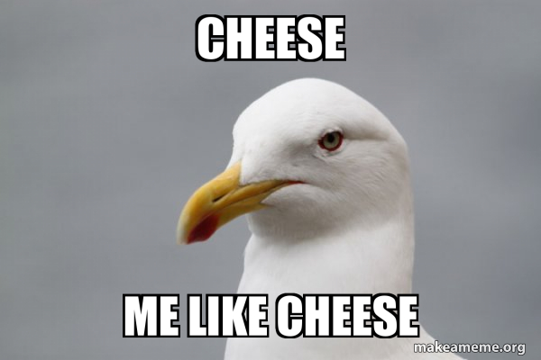 Cheese Me like cheese - Stuff That Didn't Happen Seagull Meme Generator