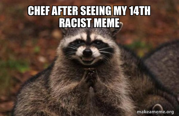 chef after seeing my 14th racist meme - Evil Plotting Raccoon Meme ...
