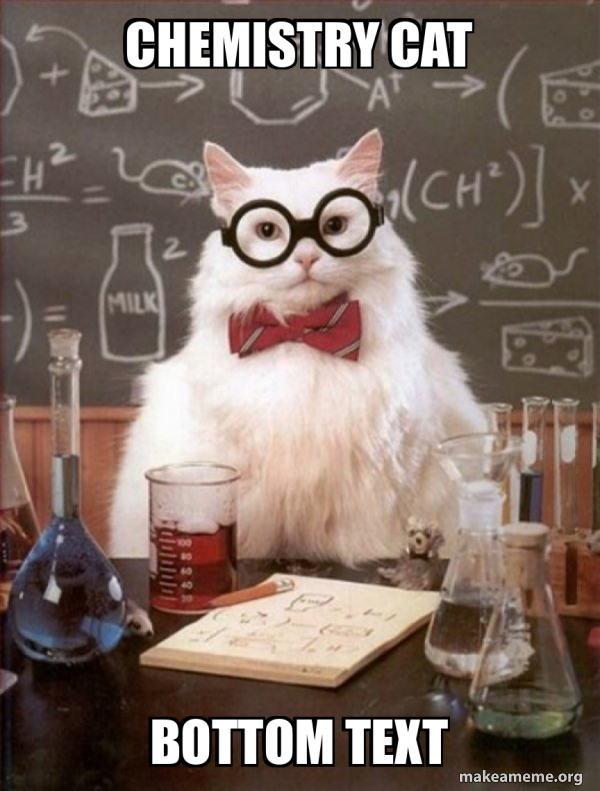 chemistry cat bottom text - Chemistry Cat Meme Generator