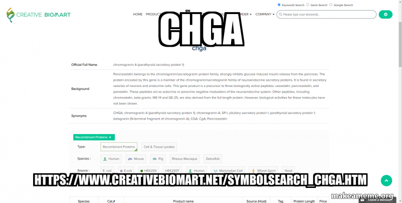 CHGA https://www.creativebiomart.net/symbolsearch_CHGA.htm - CHGA Meme ...