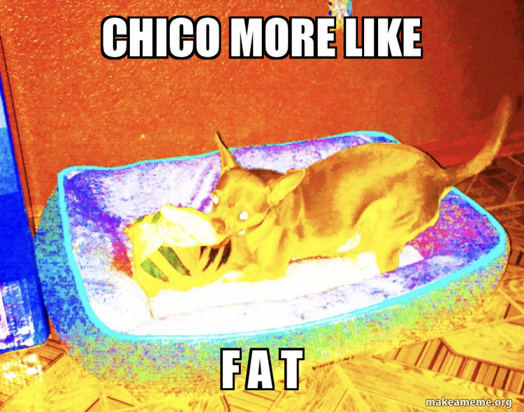 Chico more like F A T Meme Generator