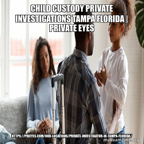 Child Custody Private Investigations Tampa Florida | Private Eyes https ...