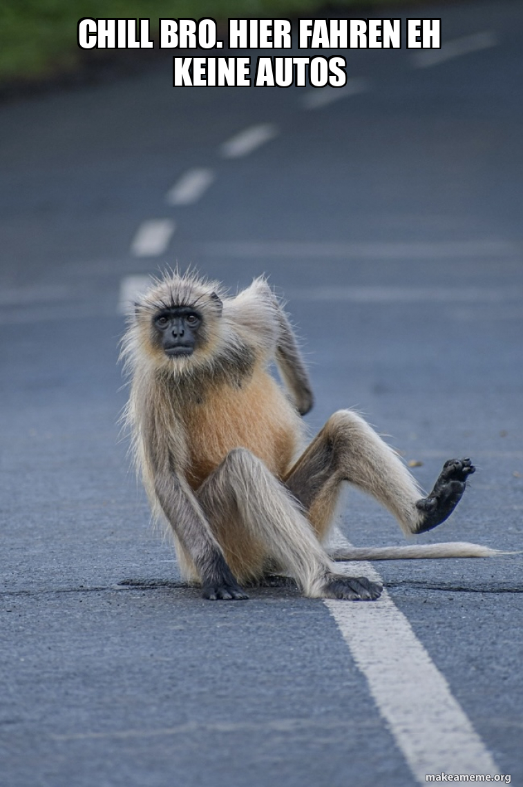 Chill bro. Hier fahren eh keine Autos Meme Generator
