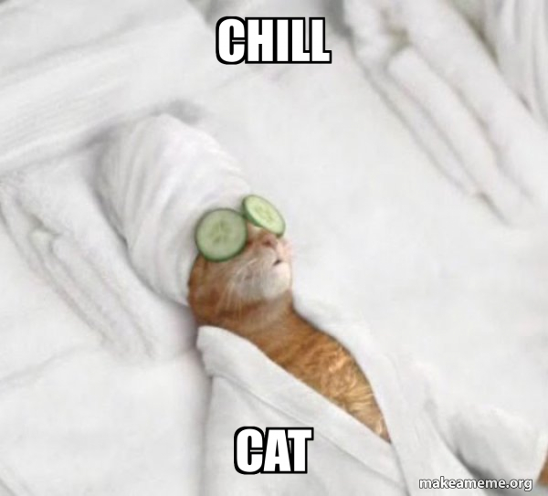Chill Cat - Pampered Cat Meme Meme Generator
