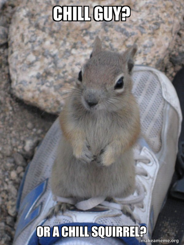 chill guy? or a chill squirrel? - Standover Squirrel Meme Generator