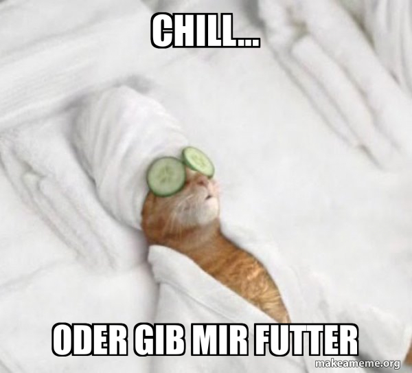 Chill... oder gib mir futter - Pampered Cat Meme Meme Generator
