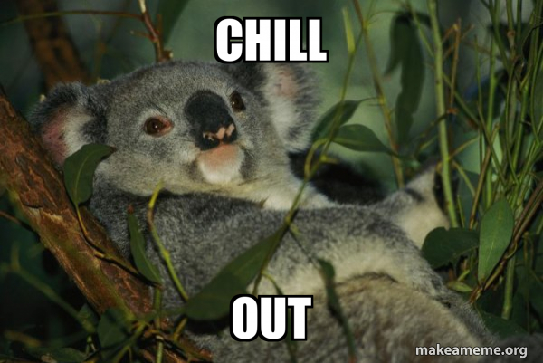 chill out - Laid Back Koala Meme Generator