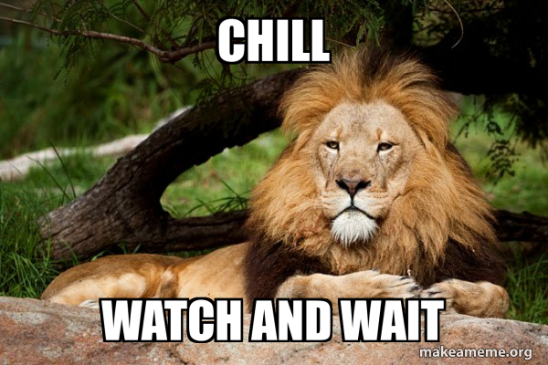 Chill Watch And wait - Contemplative Lion Meme Generator
