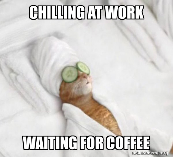 chilling at work waiting for coffee - Pampered Cat Meme Meme Generator