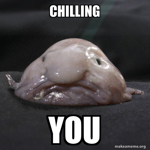 chilling you - Blobfish Meme Generator