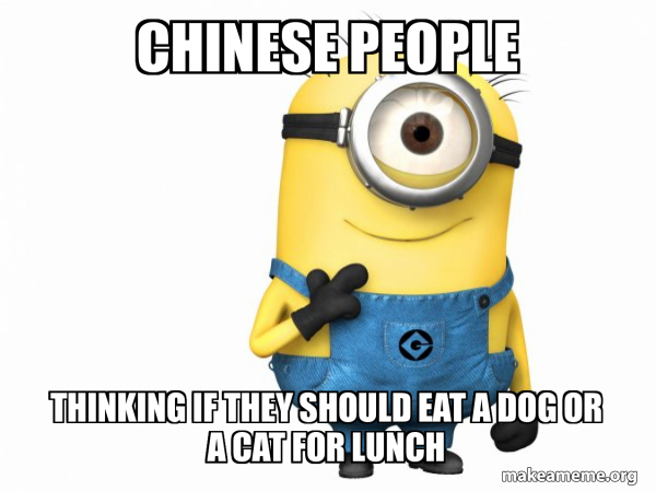 chinese people thinking if they should eat a dog or a cat for lunch ...