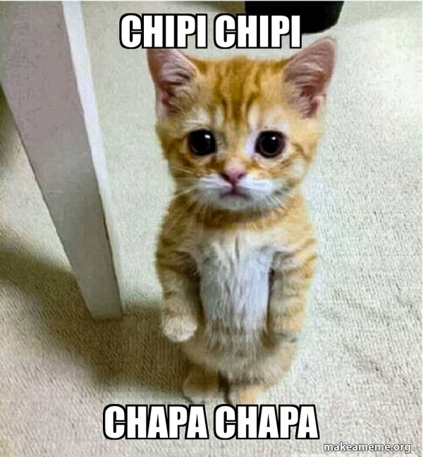 chipi chipi chapa chapa - Cute Cat Standing Meme Generator