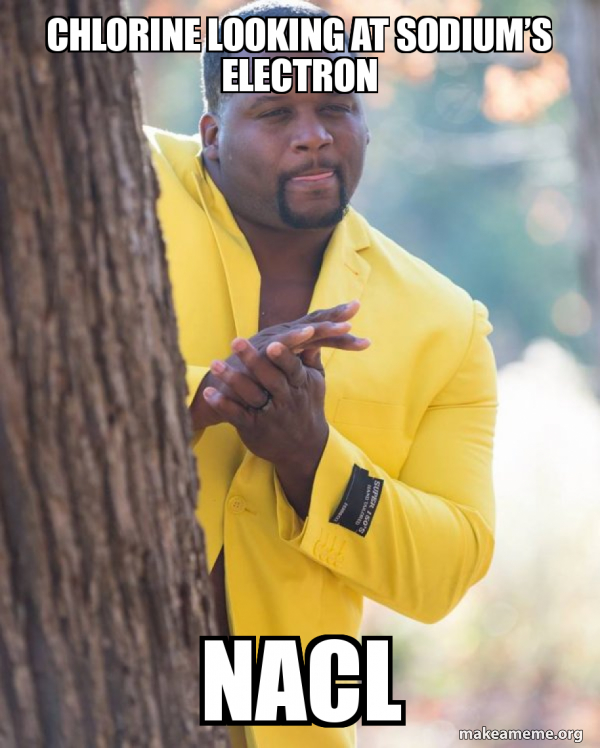 Sodium Chloride Memes Inspired By Raccidentalally The Fact That This