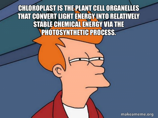 Chloroplast is the plant cell organelles that convert light energy into ...