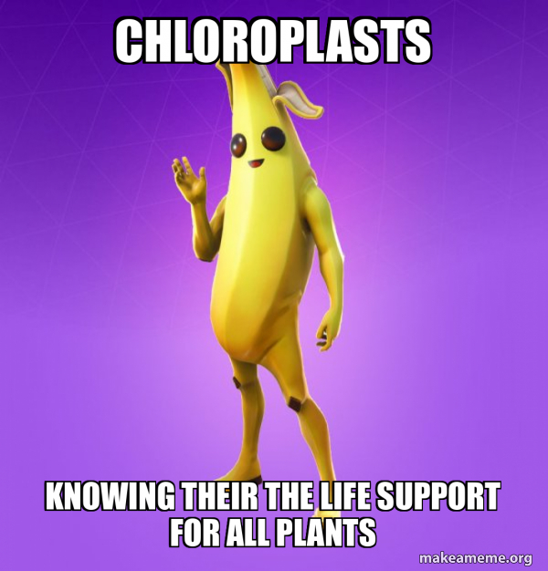 CHLOROPLASTS KNOWING THEIR THE LIFE SUPPORT FOR ALL PLANTS - Peely Meme ...