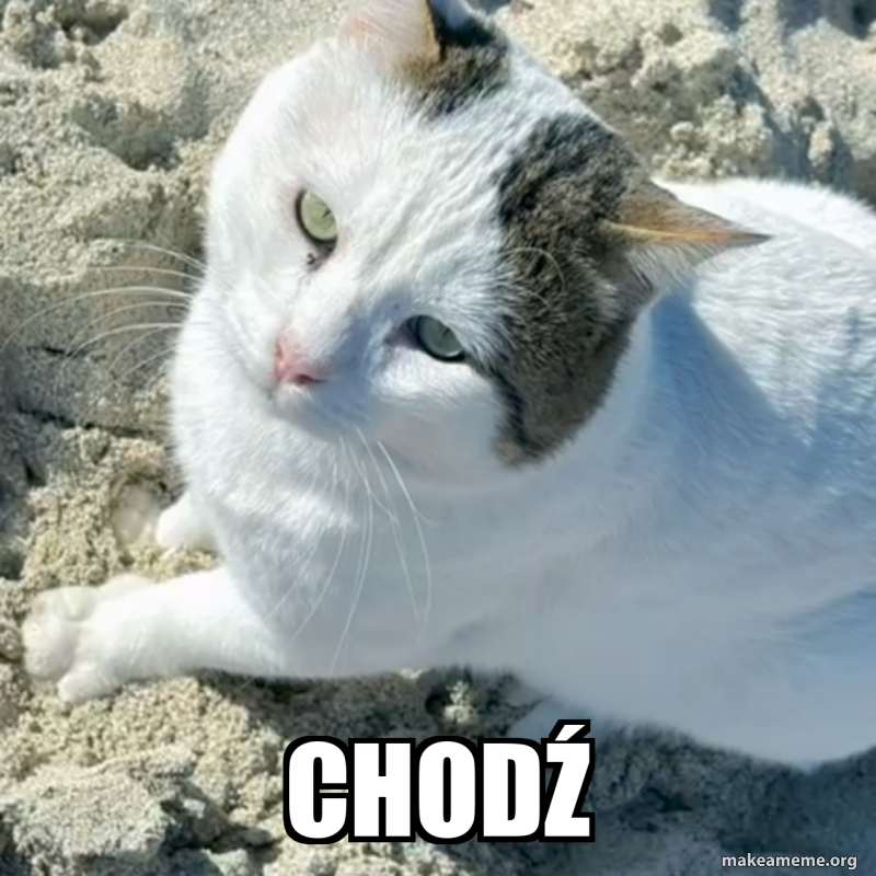 Chodź Meme Generator