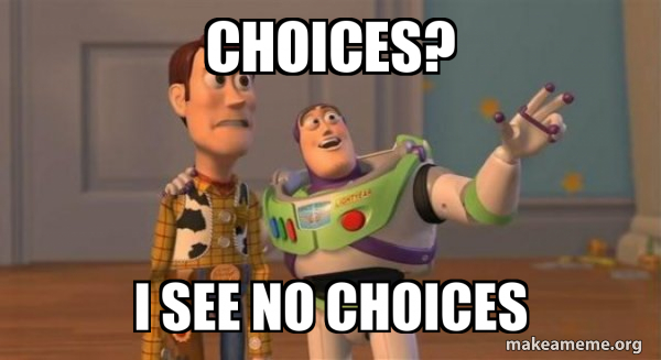 Choices? I see no choices - Buzz and Woody (Toy Story) Meme Meme Generator